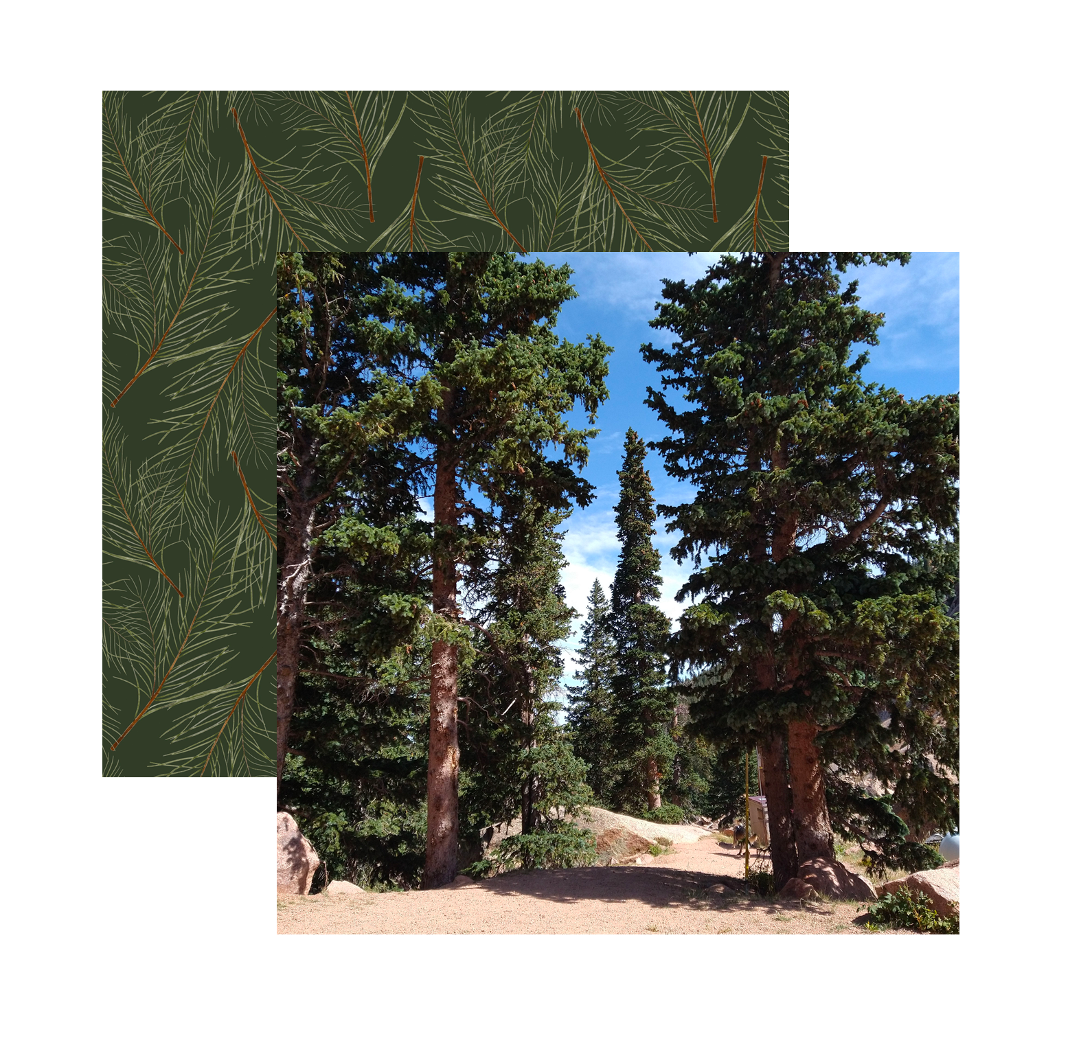 Pikes Peak Trees Colorado - 12X12 Scrapbook Paper – Country Croppers