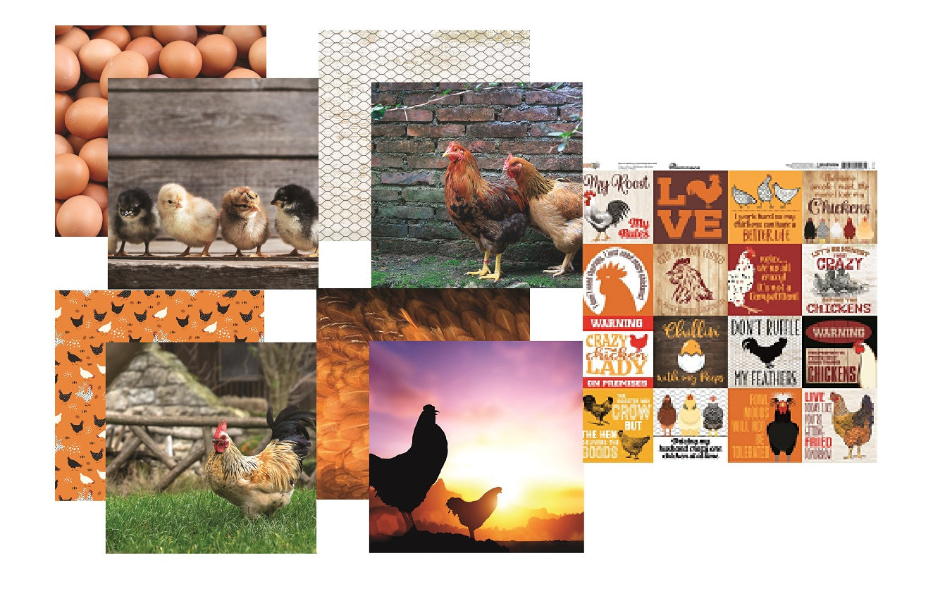 Chicken Life 12x12 Scrapbook Papers and Sticker Set – Country Croppers