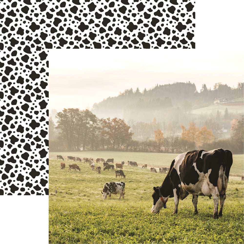 Holstein - Holy Cow - 12x12 Scrapbook Paper – Country Croppers
