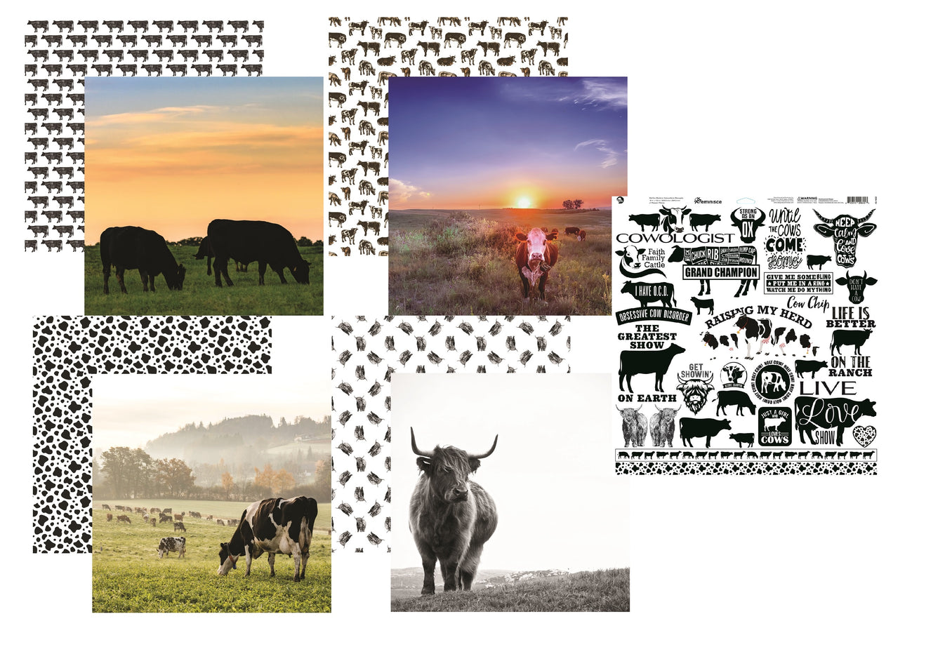 Holy Cow - 12x12 Scrapbook Papers and Stickers Set – Country Croppers