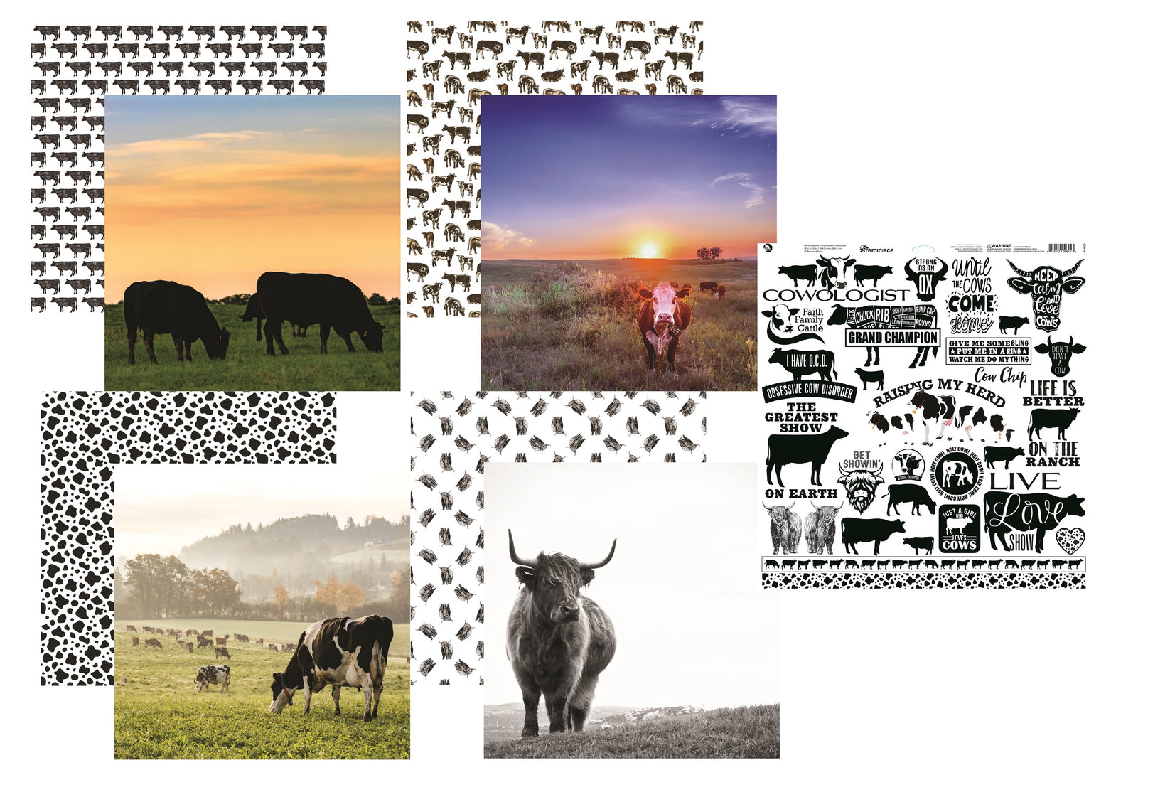 Holy Cow - 12x12 Scrapbook Papers and Stickers Set – Country Croppers