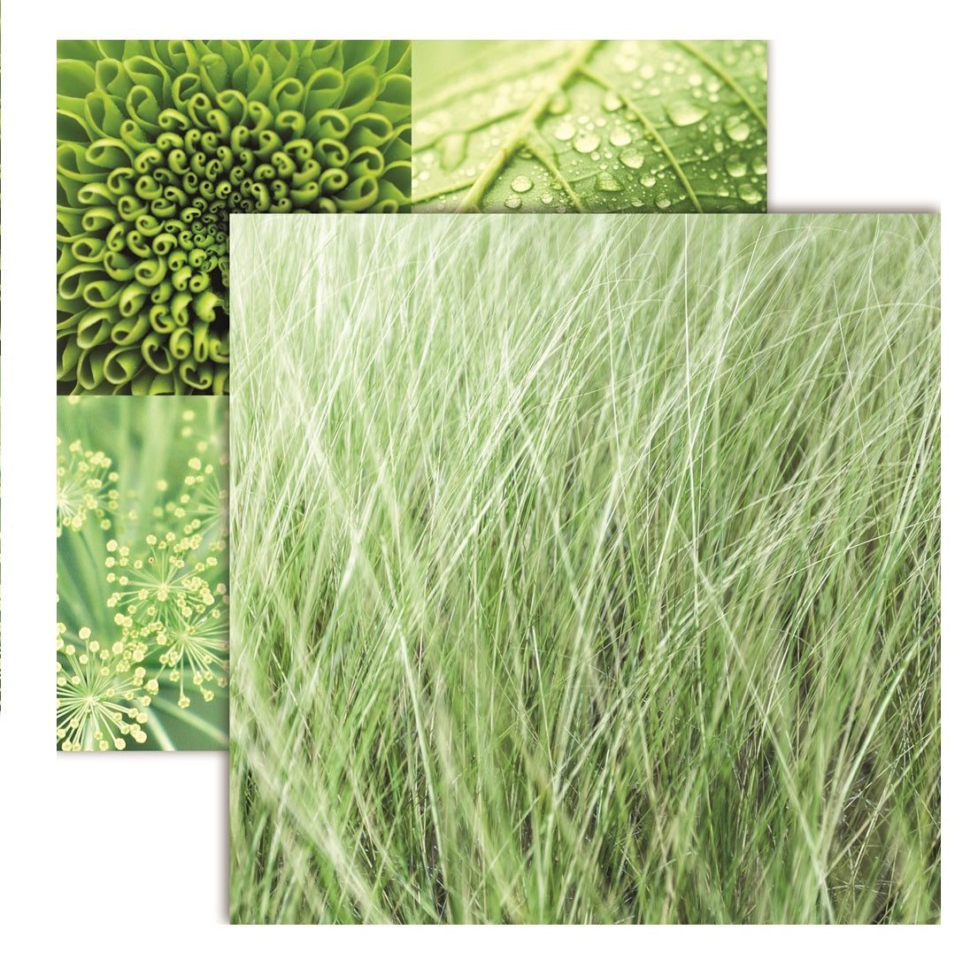 Forest Greens - Natures Textures 12x12 Scrapbook Paper – Country Croppers
