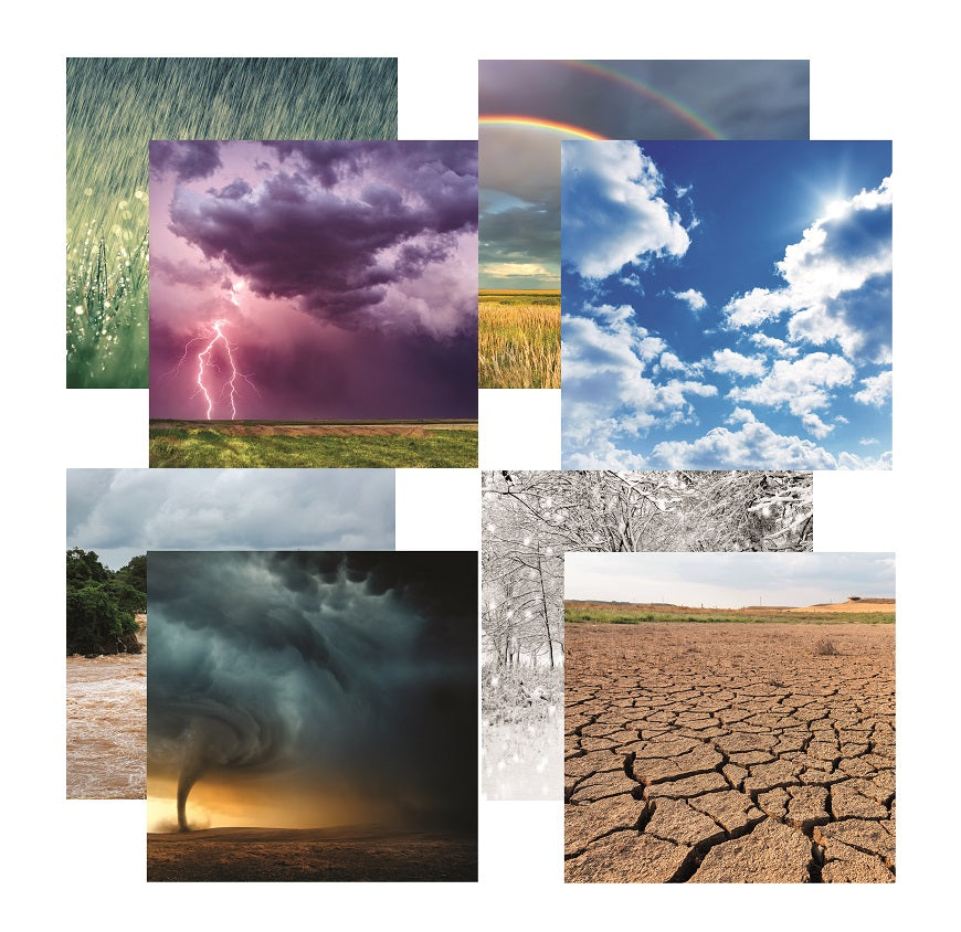 Weather the Storm 12x12 Scrapbook Papers Set - 4 Sheets – Country Croppers