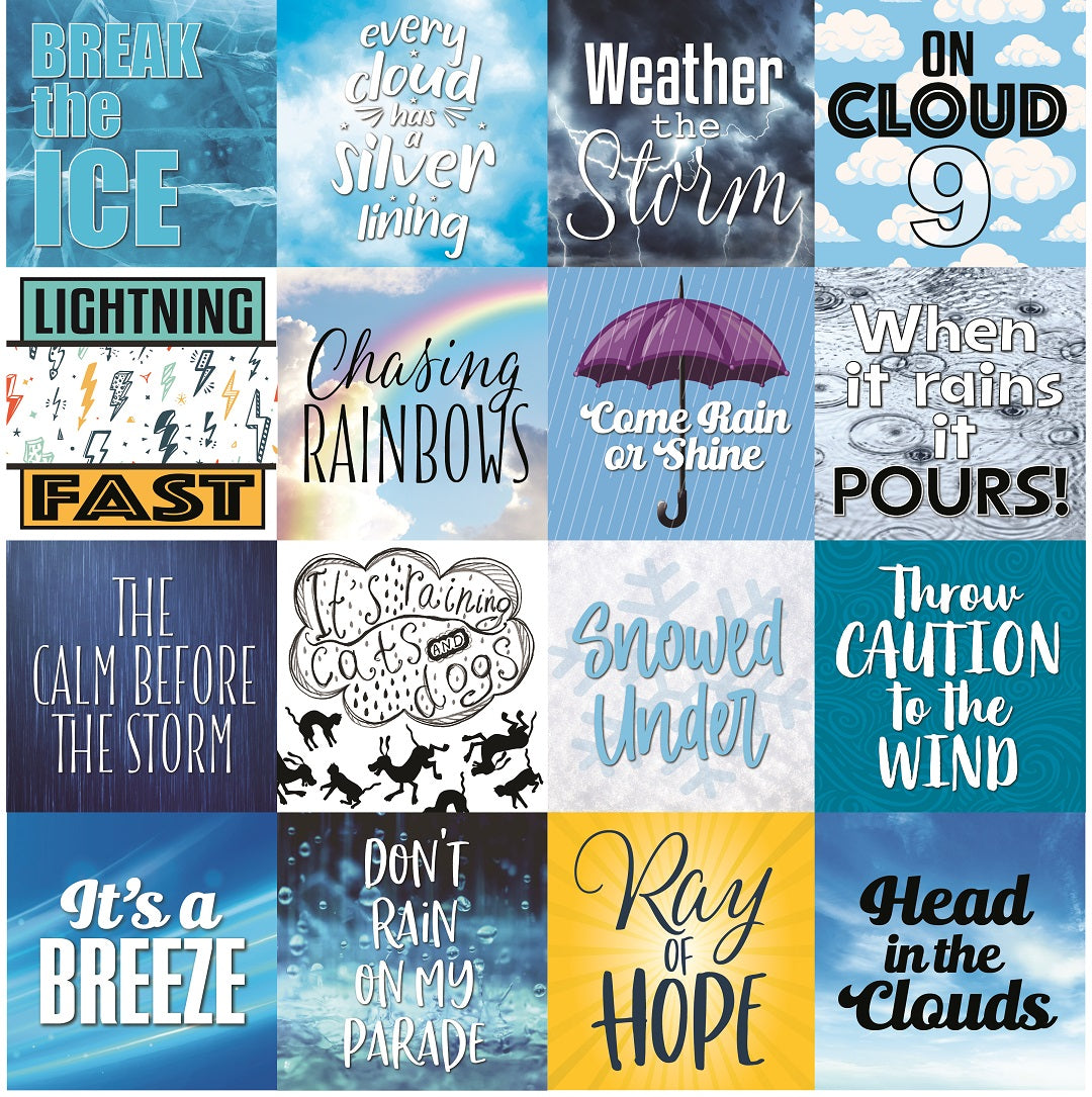 Weather the Storm 12x12 Stickers – Country Croppers