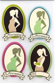 Pregnancy Maternity Stages 3d Stickers – Country Croppers